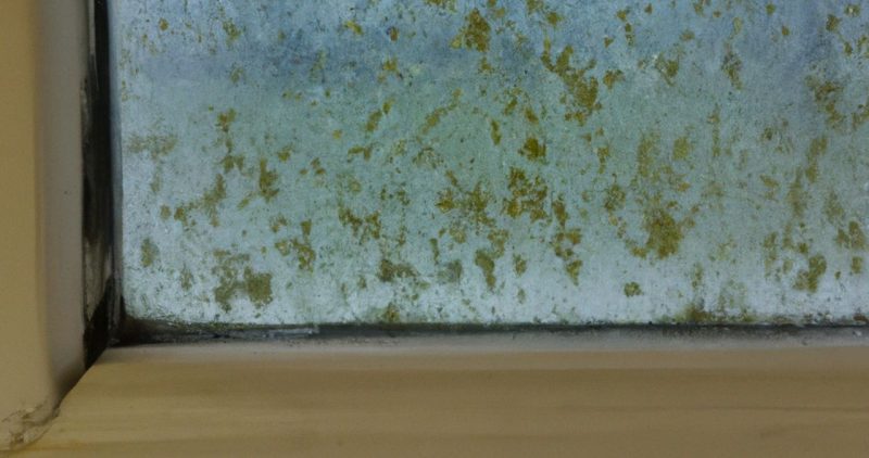 How Do You Get Rid of Mold on Windows? - Discount Window
